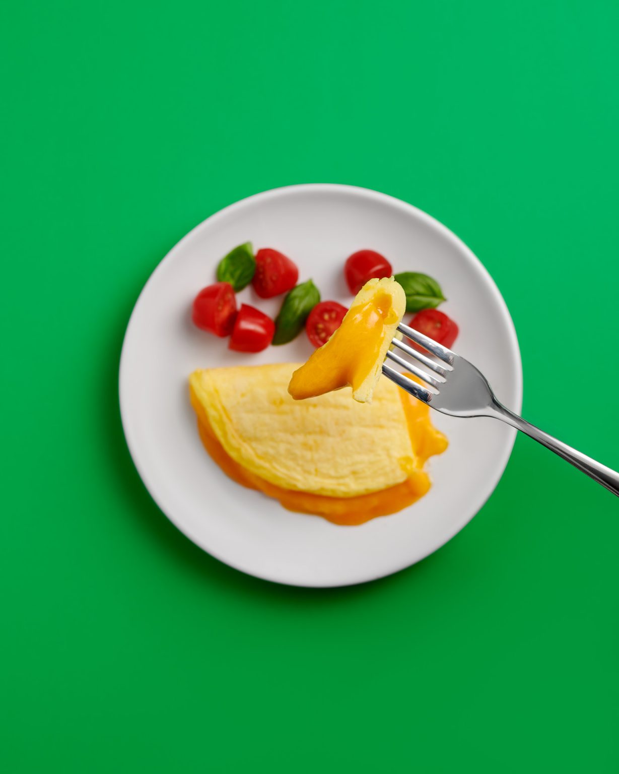 Our Capabilities – EggSolutions